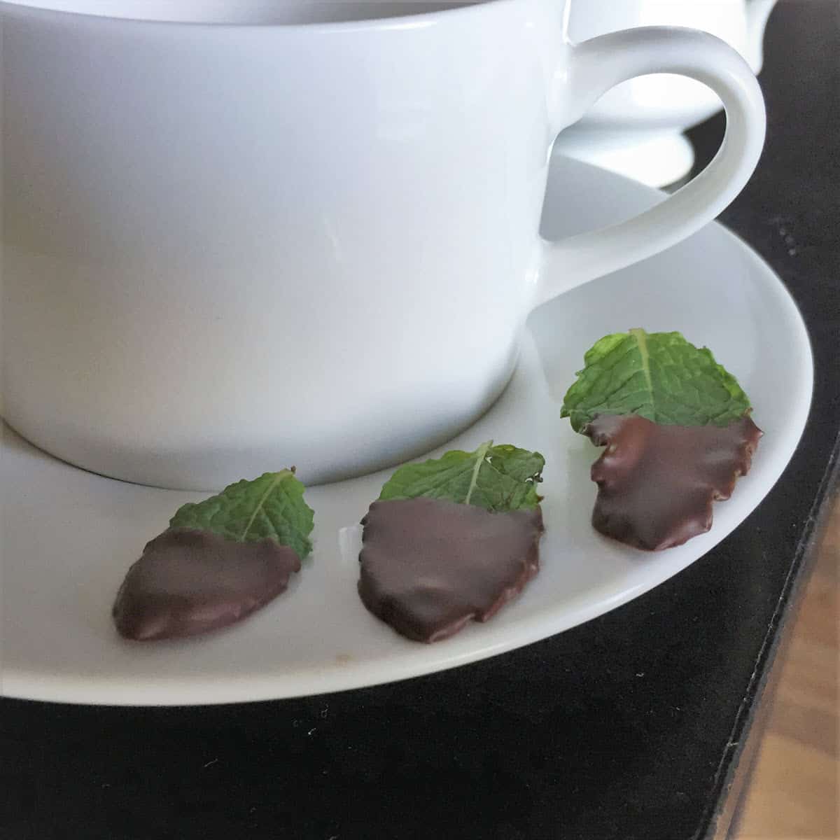 Fresh After Dinner Chocolate Mints - Bush Cooking