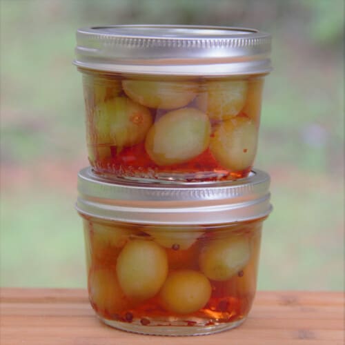 Quick Pickle Grapes | Bush Cooking