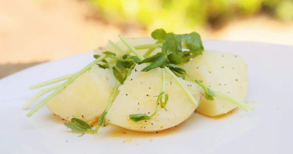 Summer Potato Salad | Bush Cooking
