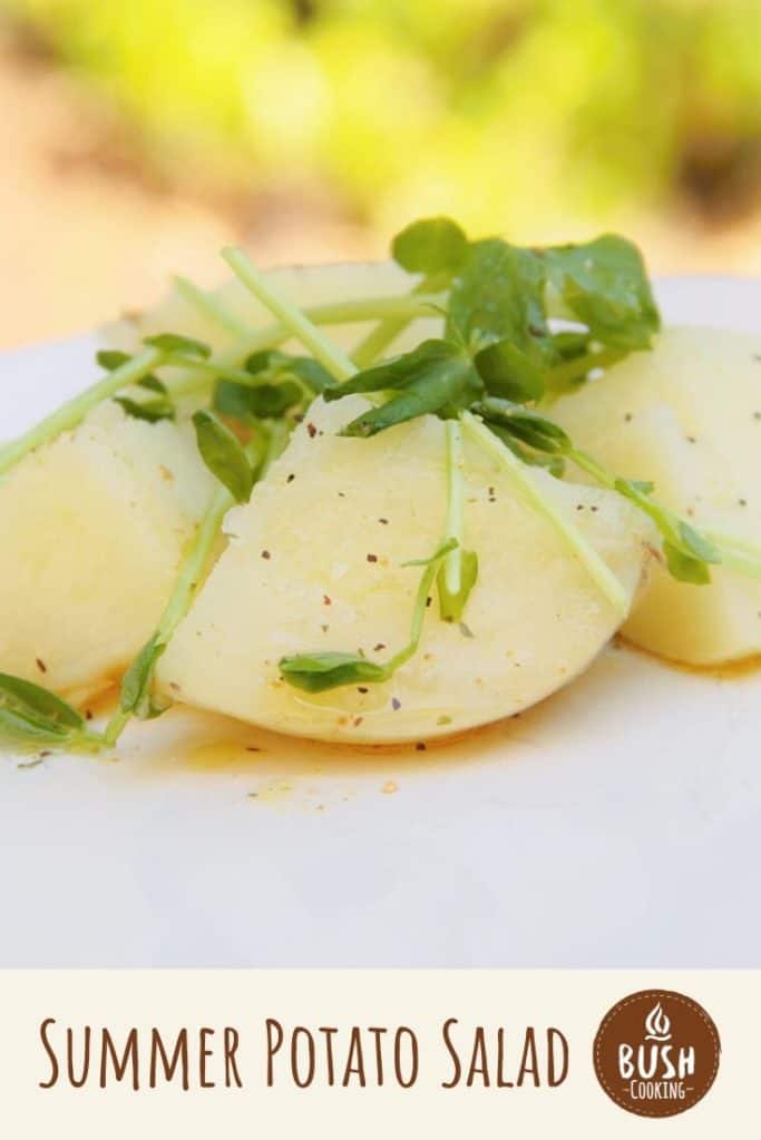 Summer Potato Salad - Bush Cooking
