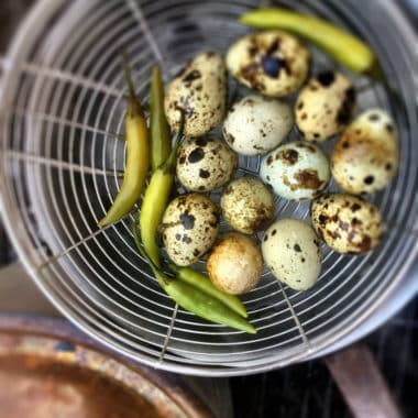 Pickled Quail Eggs | Bush Cooking
