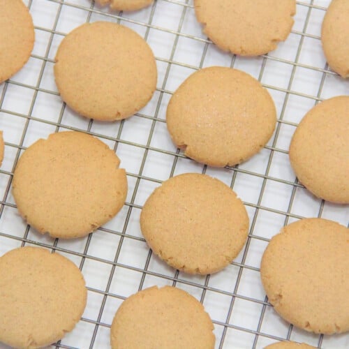 Ginger Snaps | Bush Cooking
