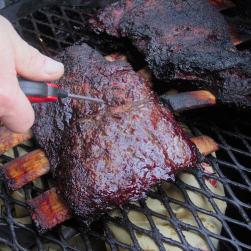 Hanging Smoked Beef Ribs | Bush Cooking
