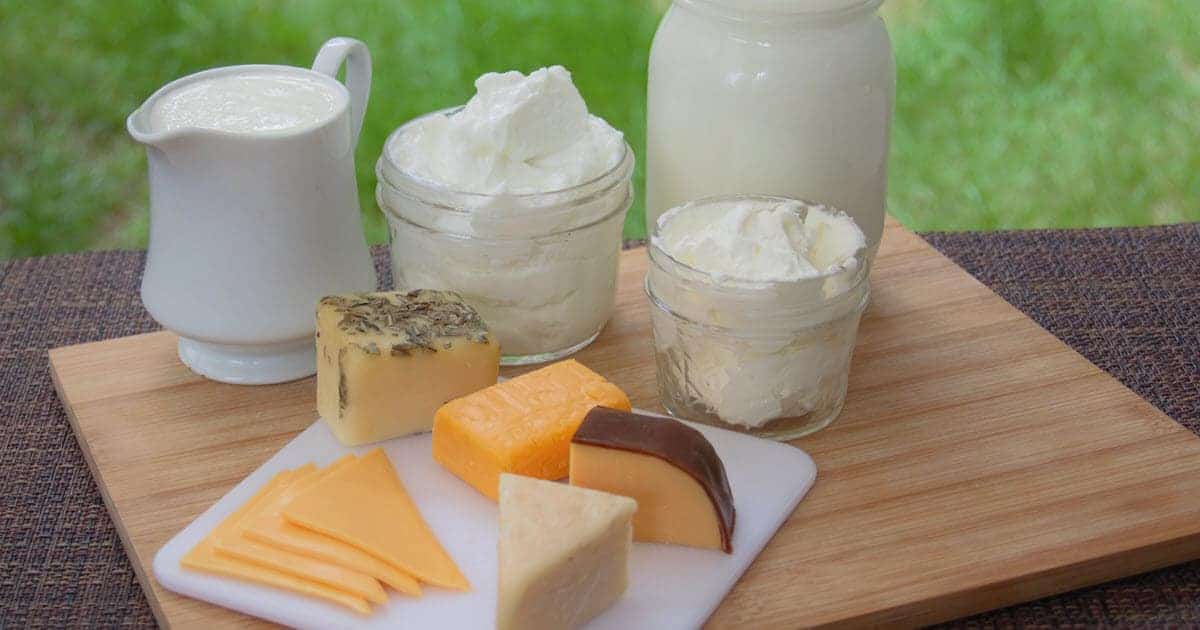 Dairy Recipes | Bush Cooking