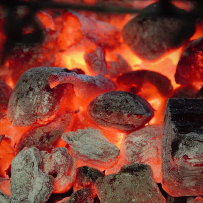 Chicken Drumstick Cacciatore - Bush Cooking