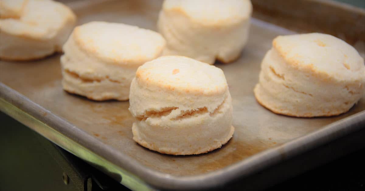 Crazy Easy Biscuits | Bush Cooking