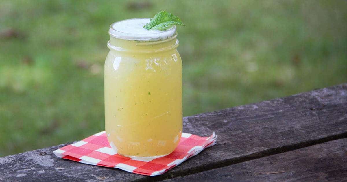 Pineapple Mint Mojito Mocktail | Bush Cooking