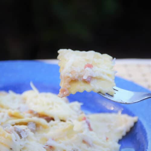 Bacon and Turkey Ravioli | Bush Cooking