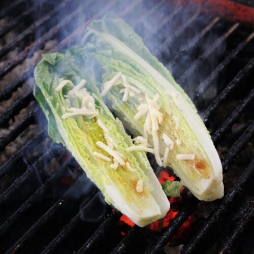 BBQ Grilled Salad Recipes | Bush Cooking