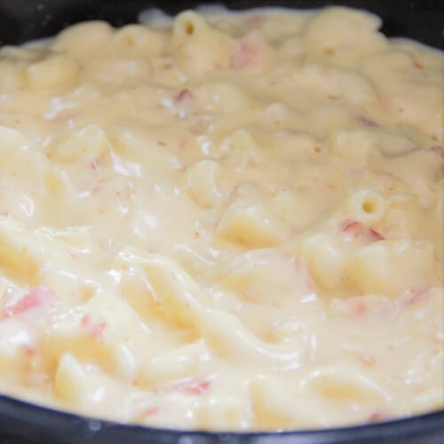 North American Recipes | Bush Cooking