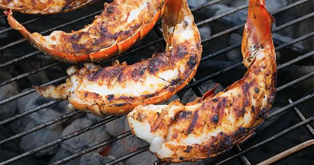 Grilled Lobster | Bush Cooking