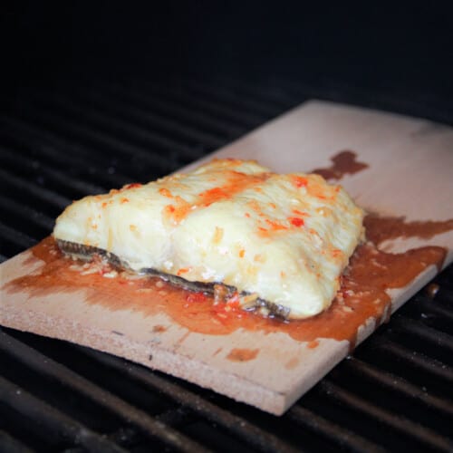 Planked Chili Fish | Bush Cooking